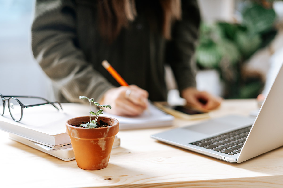 Professional writing - Rachel Healy Consulting Brisbane